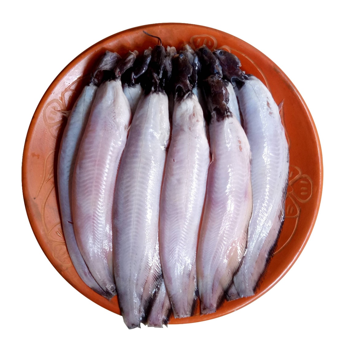 Process Sing Fish (Ready to Cook)